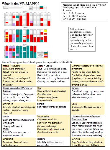 Verbal Behavior Program